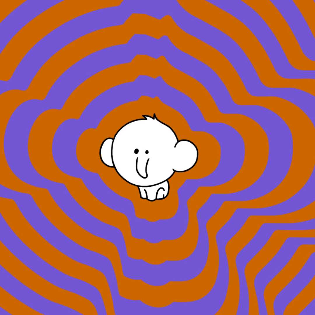 PACHYDERM | WEBTOON