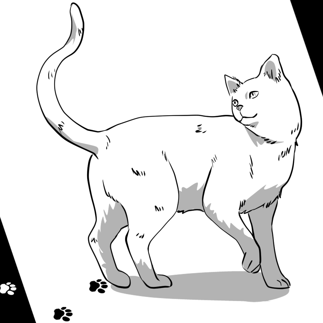 Cat in town | WEBTOON