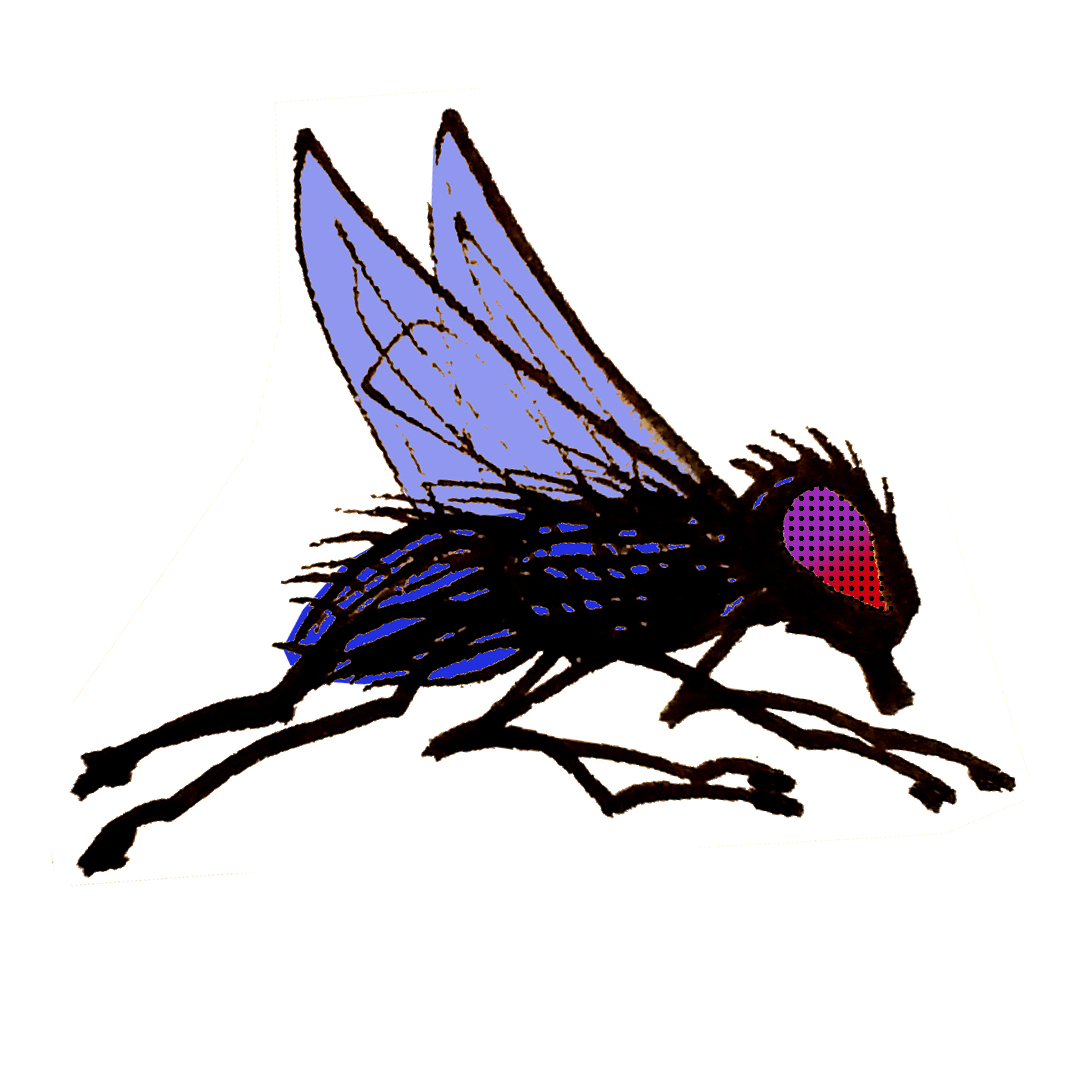 Fly on the wall | WEBTOON