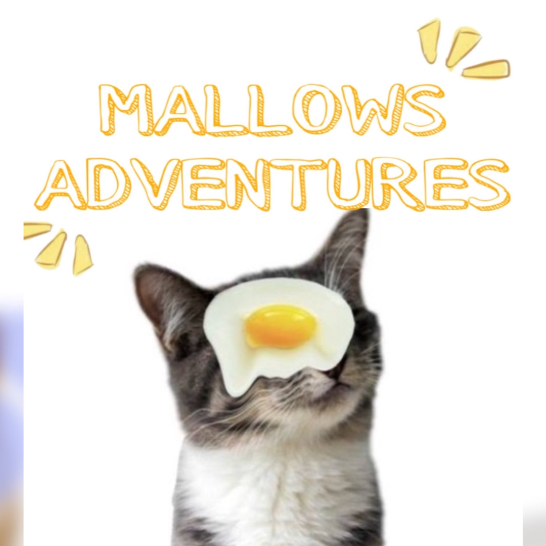 Mallows great adventures !! | WEBTOON