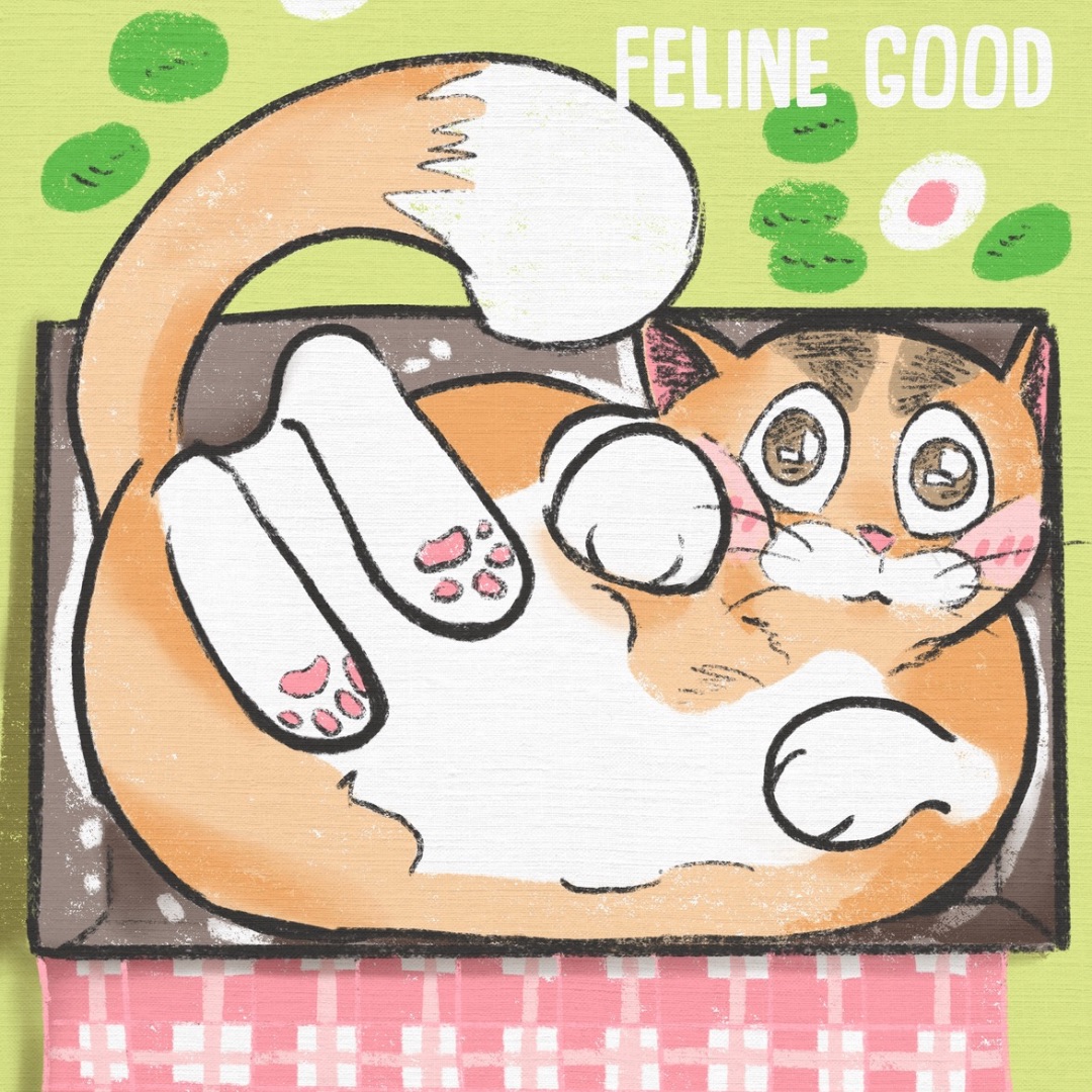 Cat Comic Diaries | WEBTOON