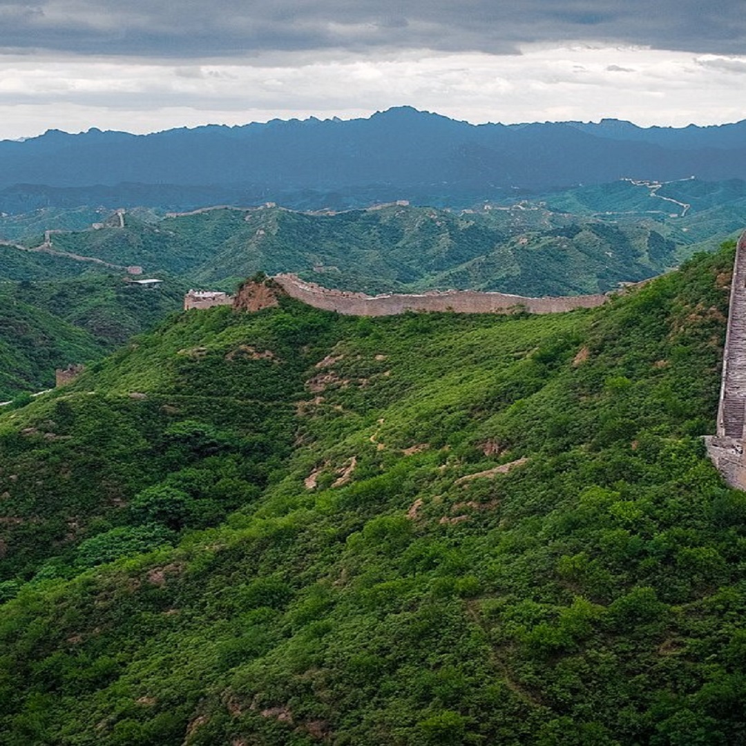 +91 7073778243 love problem solution specialist | WEBTOON