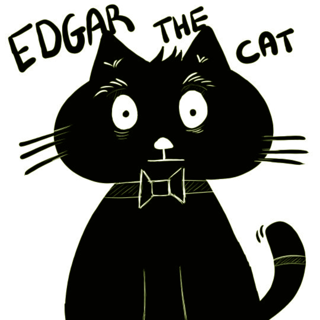 What Edgar likes - 2 | Edgar the cat