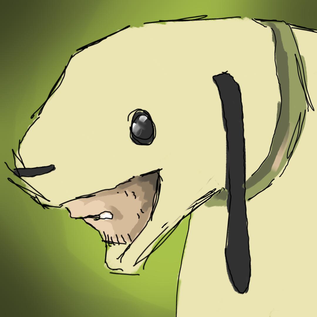 My dog Cooper | WEBTOON