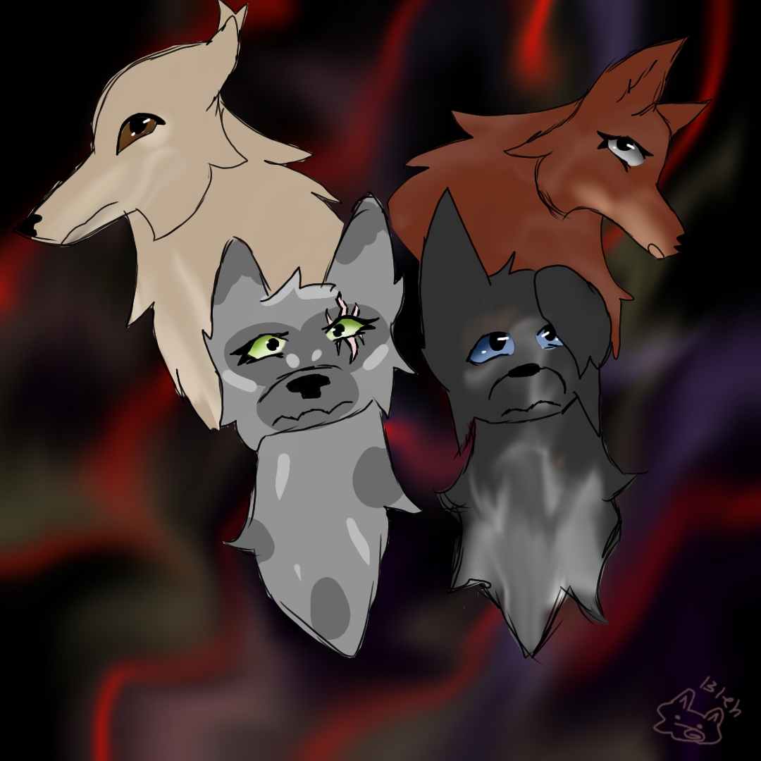 Peace or War | WEBTOON