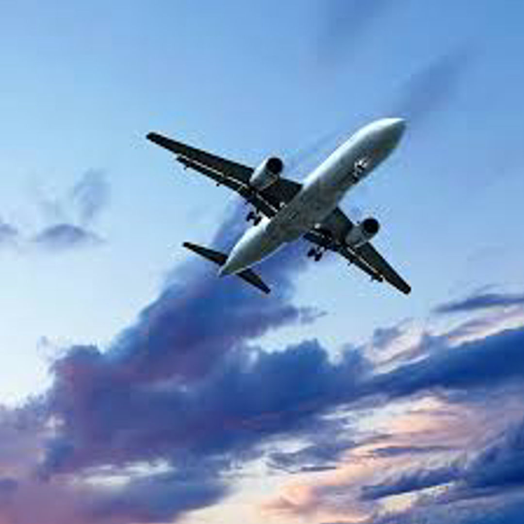 Can I book flights on Hopper?Hooper Flight booking | WEBTOON