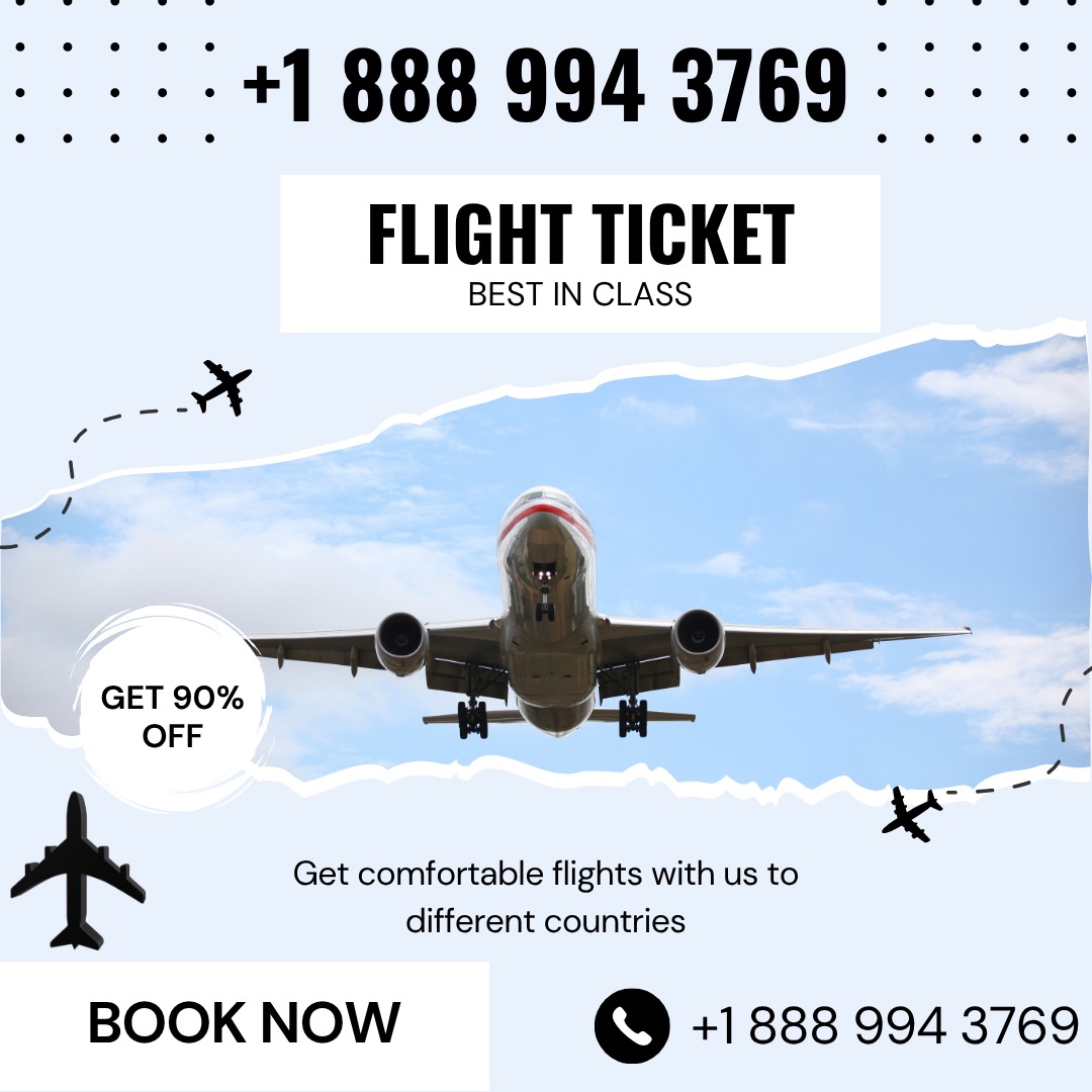 How do I book my flight with Priceline? | WEBTOON