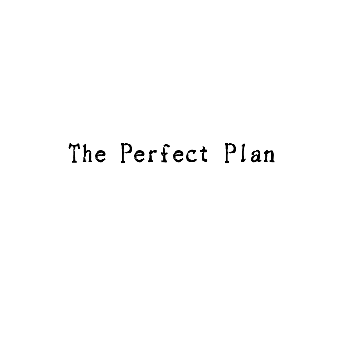 The Perfect Plan | WEBTOON
