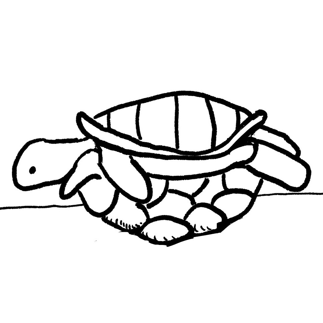 Turtle | WEBTOON